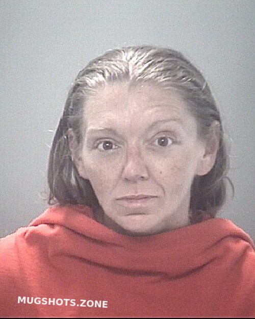 Austin Heidi Marie 06 26 2024 Pasco County Mugshots Zone