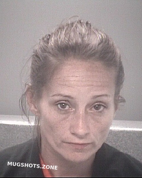 CRIBBS MELISSA GAIL 08/14/2024 - Pasco County Mugshots Zone
