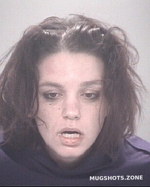 HAMILTON SYDNEY GALE 08/25/2024 - Pasco County Mugshots Zone