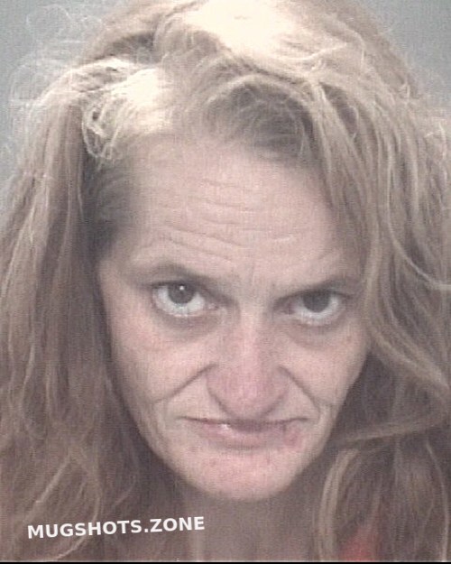 VENTULETT JESSICA LEE 09/09/2024 - Pasco County Mugshots Zone