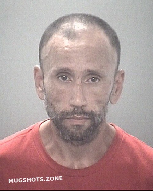 RODRIGUEZ NELSON JOHN 09/15/2024 - Pasco County Mugshots Zone