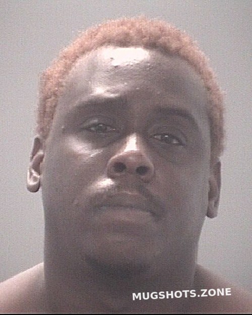 MCCRAY REGINALD ANTONIO 09/24/2024 - Pasco County Mugshots Zone
