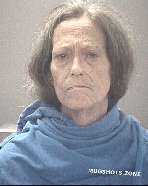 BONFIGLIO MARIANN KAY 09/26/2024 - Pasco County Mugshots Zone