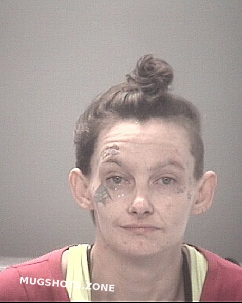 EGGLETON JESSICA ANN 10/16/2024 - Pasco County Mugshots Zone