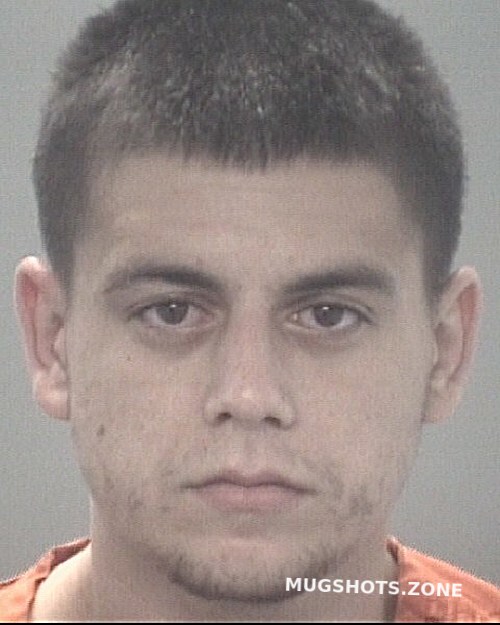 RICHARDS-REIBER DYLAN MARTIN 10/22/2024 - Pasco County Mugshots Zone