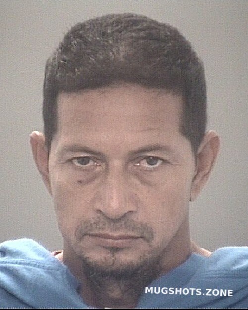 PALMA FERNANDO 10/23/2024 - Pasco County Mugshots Zone