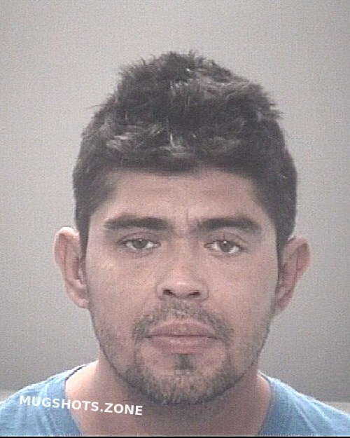 FIGUEROA MORALES JOSE KALEB 10/29/2024 - Pasco County Mugshots Zone