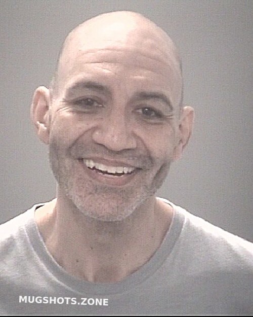 ROMAN MARC ANTHONY 11/03/2024 - Pasco County Mugshots Zone