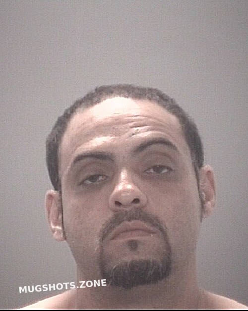 COLON NELSON JR 11/04/2024 - Pasco County Mugshots Zone