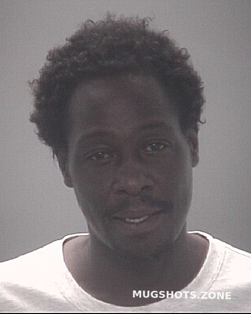 FADEYI WILLIAM 11/04/2024 - Pasco County Mugshots Zone