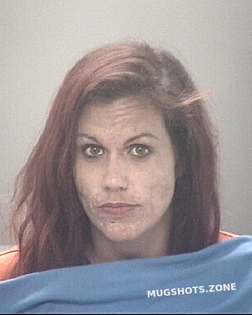 DAVIS ROBYN ANN 11/05/2024 - Pasco County Mugshots Zone