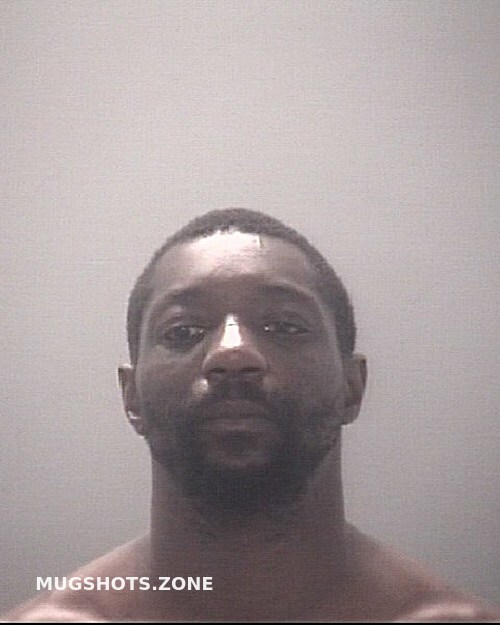 PATTON CHRISTOPHER WAYNE JR 11/06/2024 - Pasco County Mugshots Zone