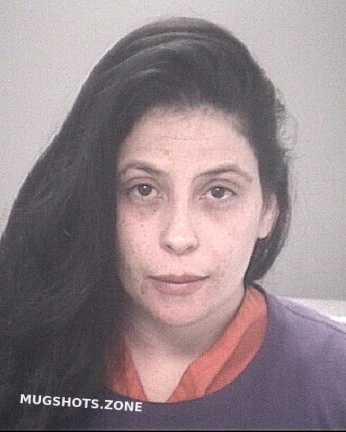 DELGADO YULIET 11/17/2024 - Pasco County Mugshots Zone