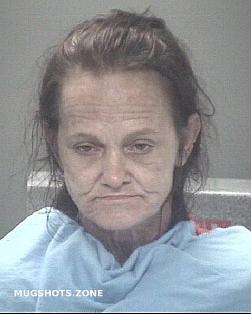 GILLIS PAMELA MICHELLE 11/20/2024 - Pasco County Mugshots Zone