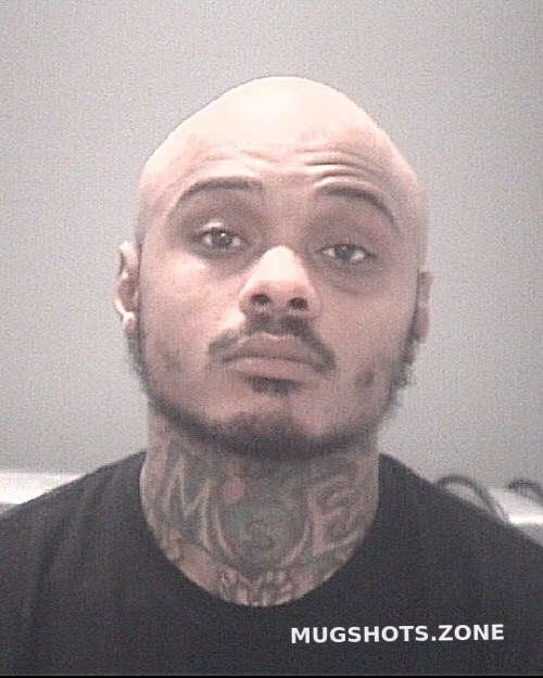 THOMAS DEANGELO QUINTERRIO 11/25/2024 - Pasco County Mugshots Zone
