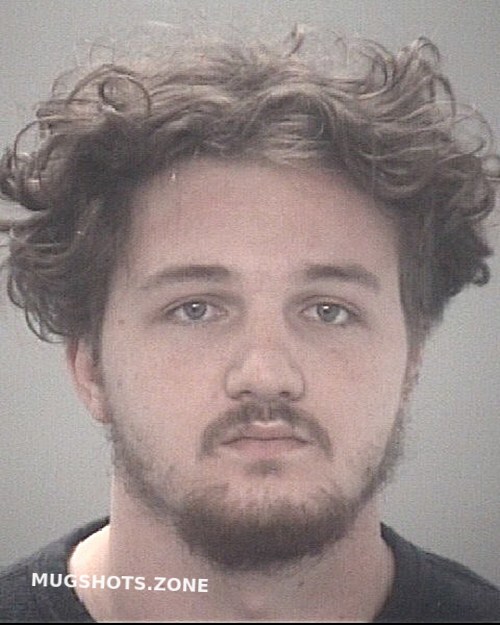 REED TRAVIS MICHAEL 11/26/2024 - Pasco County Mugshots Zone