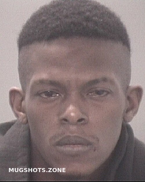 RUMPH YOHOTOSHI HAKU 12/04/2024 - Pasco County Mugshots Zone