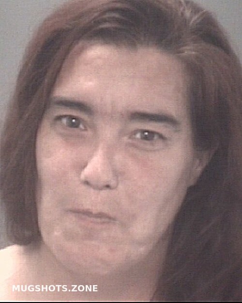 PINNELL APRIL SUSAN 12/16/2024 - Pasco County Mugshots Zone