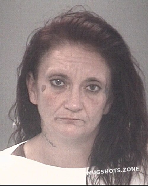 STEVENSON JESSICA MARIE 12/20/2024 - Pasco County Mugshots Zone