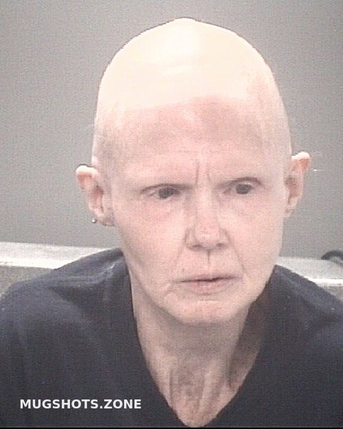 FISH GAYLYNN ALLISON 12/21/2024 - Pasco County Mugshots Zone