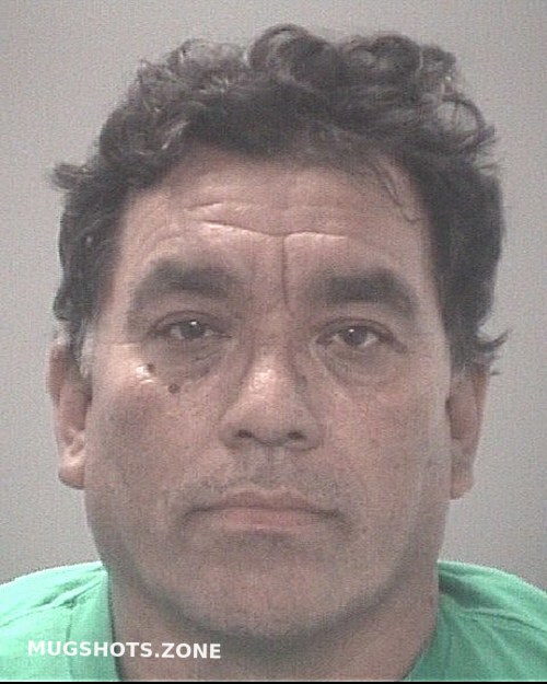 VILLALOBOS ARANDA ANGEL DOMINGO 12/27/2024 - Pasco County Mugshots Zone