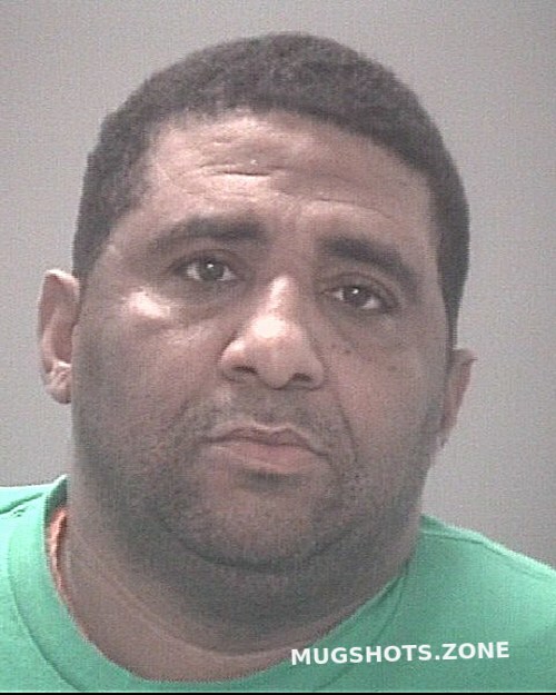 PEREZ-FARRAY MICHAEL 12/28/2024 - Pasco County Mugshots Zone