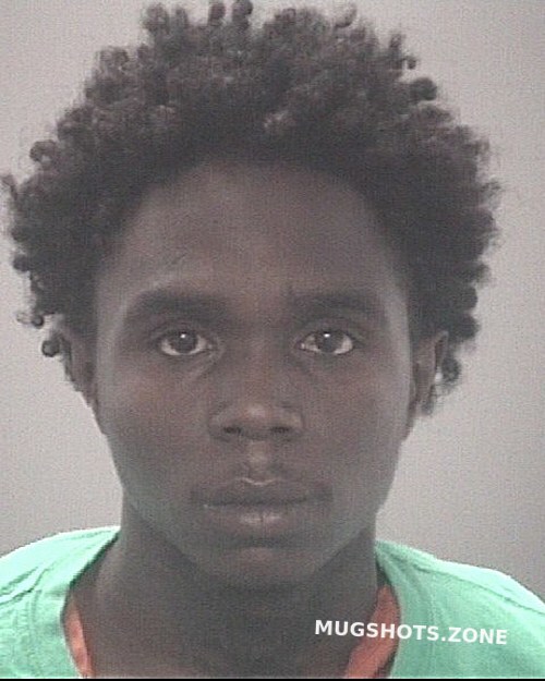 MARION BARRON OCTAVIOUS 01/14/2025 - Pasco County Mugshots Zone