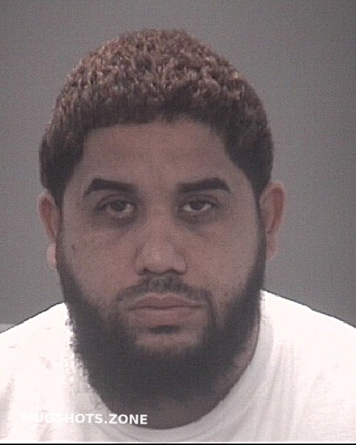 LEBRON-LABOY GABRIEL YOBAL 01/17/2025 - Pasco County Mugshots Zone
