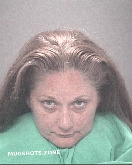 NICOLOSI CHRISTY LEE 02/24/2025 - Pasco County Mugshots Zone