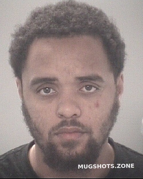 HINES REGINALD LAMAR II 03/17/2025 - Pasco County Mugshots Zone