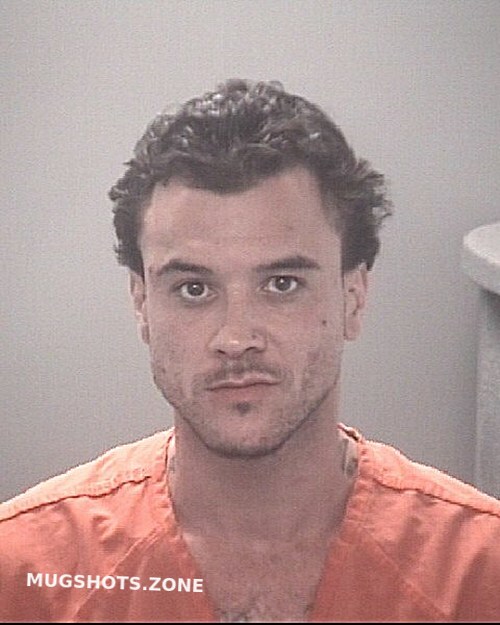 BALDI PATRICK ANTHONY 03/19/2025 - Pasco County Mugshots Zone