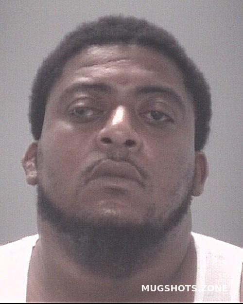 DENNIS MICHAEL LEE JR 03/23/2025 - Pasco County Mugshots Zone