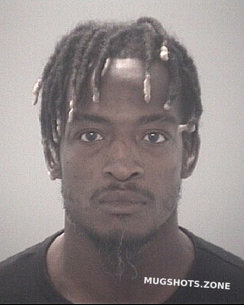 DAVIS AARON NORVAL JR 04/12/2025 - Pasco County Mugshots Zone
