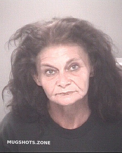 DONAGHY PATRICIA SUSAN 05/26/2025 - Pasco County Mugshots Zone
