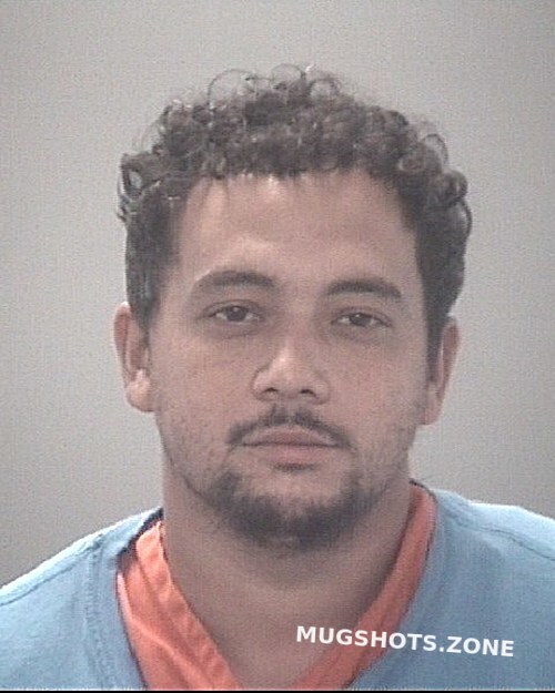 HARVEY CHRISTOPHER ALEXANDER 05/29/2025 - Pasco County Mugshots Zone