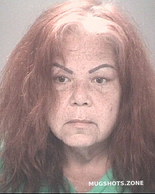 DELATORRE-PADILLA MABEL LUCILLE 06/06/2025 - Pasco County Mugshots Zone