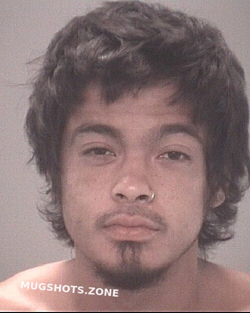 MACYOWSKY BRANDON JUSTIN 06/24/2025 - Pasco County Mugshots Zone