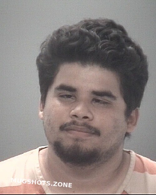 ALBERT ANTHONY MATTHEW 06/27/2025 - Pasco County Mugshots Zone