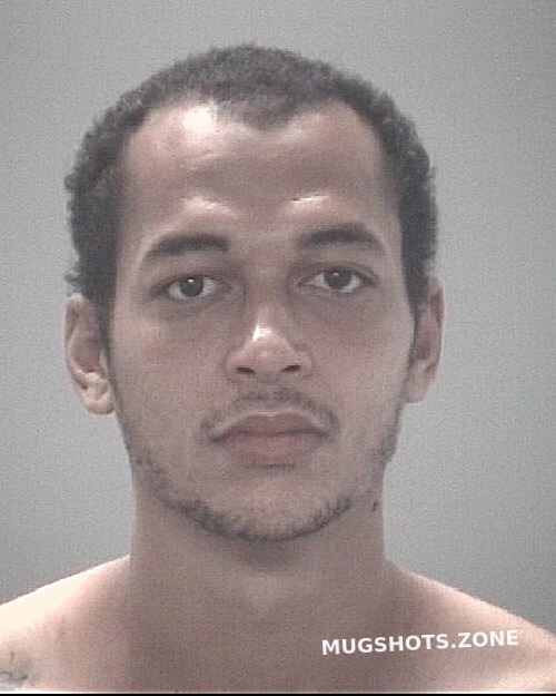 BROWN JORDAN MICHAEL RAYSEAN 08/06/2025 - Pasco County Mugshots Zone