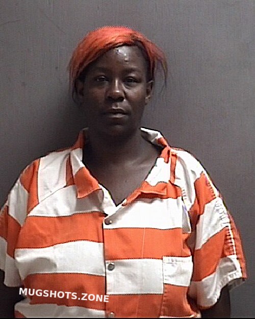 SCOTT SHANTAYA SHAMEKIA 07/07/2023 - Pasquotank County Mugshots Zone