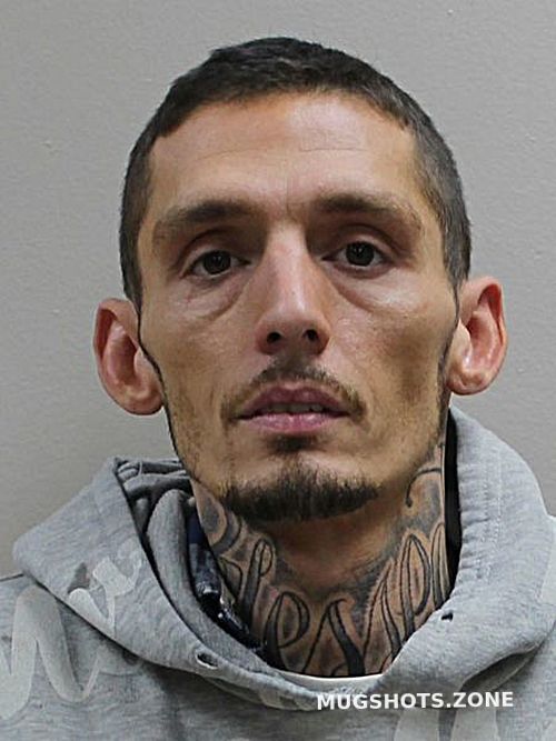 SHIRK CODIE LEE 12/24/2024 - Paulding County Mugshots Zone