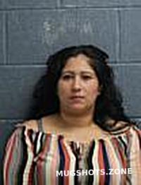 FATIMA QUEZADA D 03/05/2023 - Pender County Mugshots Zone