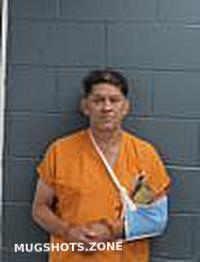 ROBSON WILLIAM 04/17/2024 - Pender County Mugshots Zone