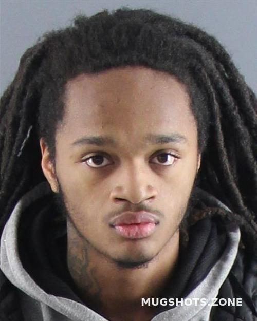 JOHNSON TAMARIEN 12/20/2022 - Peoria County Mugshots Zone