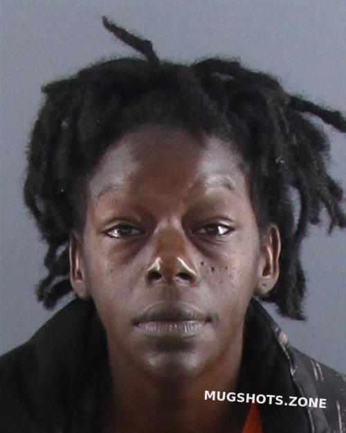 WATTS ALISHA N 07/21/2023 - Peoria County Mugshots Zone