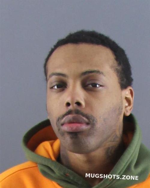 REYNOLDS BRIAN T 01/19/2024 - Peoria County Mugshots Zone