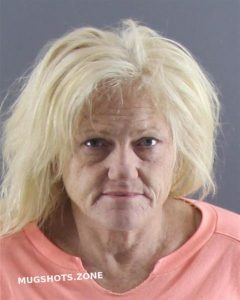 WILLIS WENDI L 02/13/2024 - Peoria County Mugshots Zone