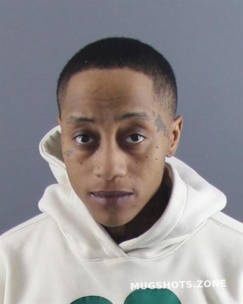 CHAPPELL AMBER T M 03/17/2024 - Peoria County Mugshots Zone