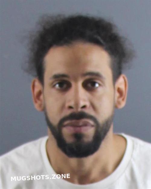 NICHOLSON NATHAN J 04/12/2024 - Peoria County Mugshots Zone