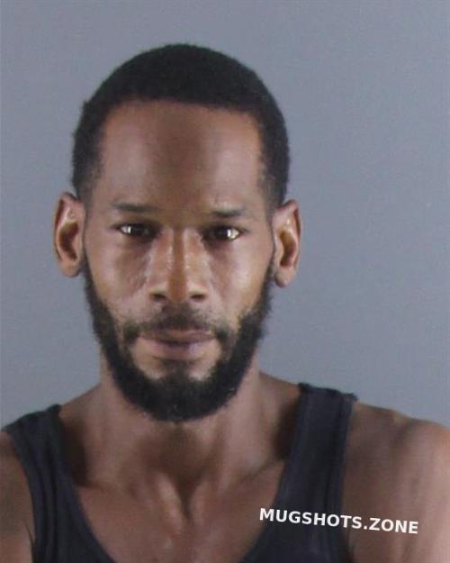 PIZZARO JUSTIN I 06/22/2024 - Peoria County Mugshots Zone